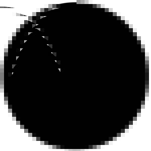 Black Circle Labels | Dense Color | Choose Size